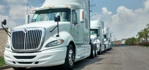 ¿Cuáles son las partes de una plataforma de tráiler?